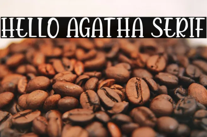 Hello Agatha Serif Font | Free Download (TTF/OTF) | FFonts.n