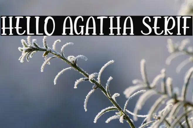 Hello Agatha Serif Font | Free Download (TTF/OTF) | FFonts.n