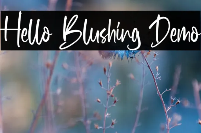 Hello Blushing Demo Font | Free Download (TTF/OTF) | FFonts.net