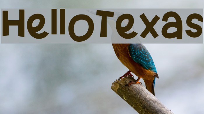 HelloTexas Font - FFonts.net