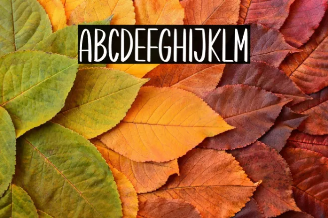 Hellobeautiful Angel Font | Free Download (TTF/OTF) | FFonts