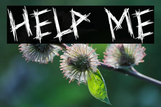 Help Me Font | Free Download (TTF/OTF) | FFonts.net