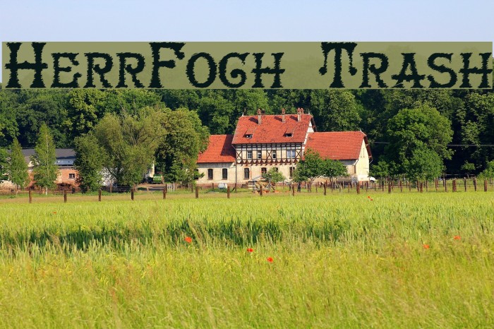 HerrFoch Trash Font - FFonts.net