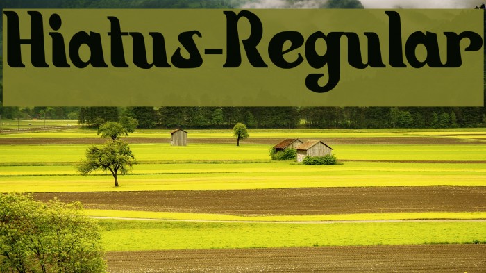 Hiatus-Regular Font - FFonts.net