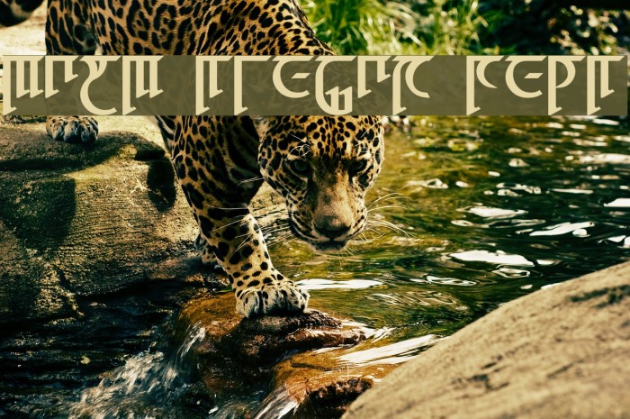 High Drowic Bold Font - FFonts.net