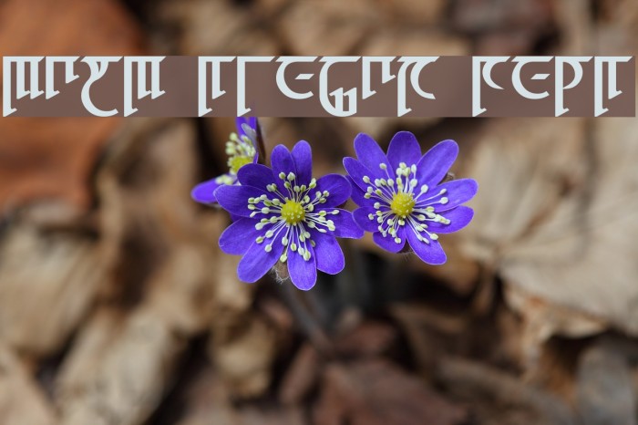 High Drowic Bold Font - FFonts.net