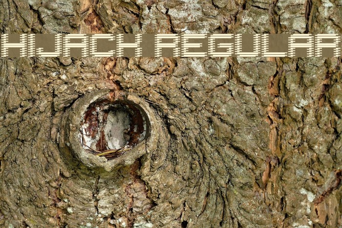 Hijack Regular Font - FFonts.net