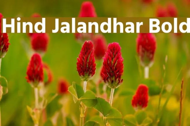Hind Jalandhar Bold Font | Free Download (TTF/OTF) | FFonts.net