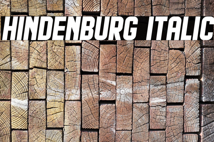Hindenburg Italic Font - FFonts.net