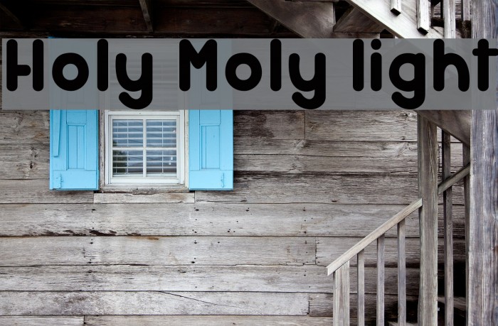 Holy Moly light Font - FFonts.net