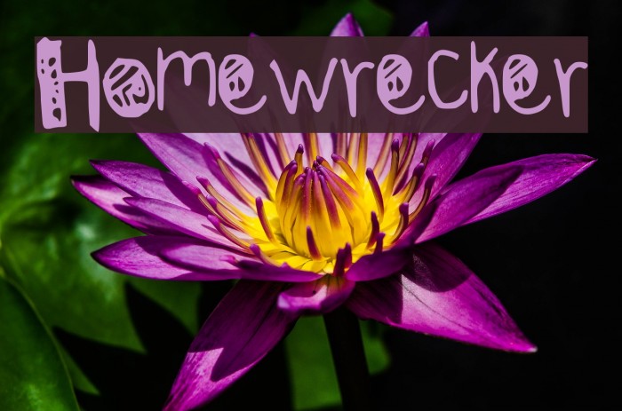 Homewrecker Font - FFonts.net