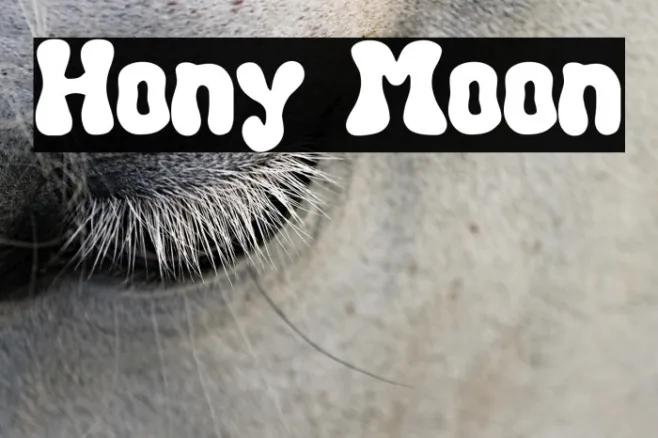 Hony Moon Font | Free Download (TTF/OTF) | FFonts.net
