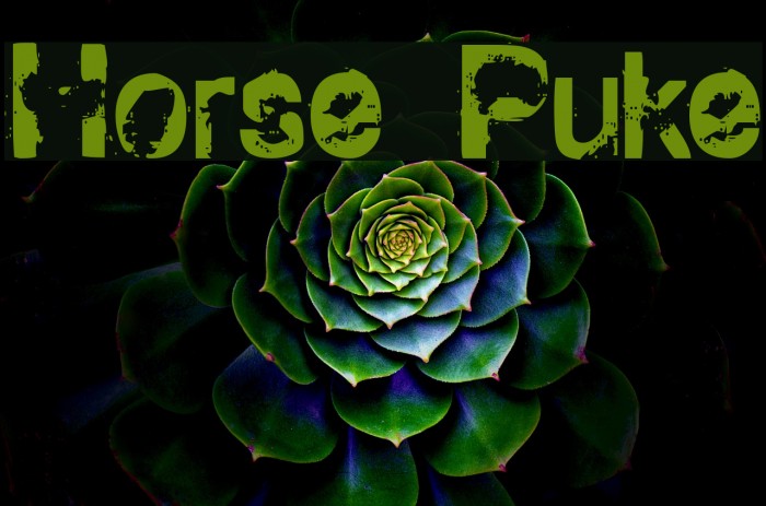 Horse Puke Font - FFonts.net