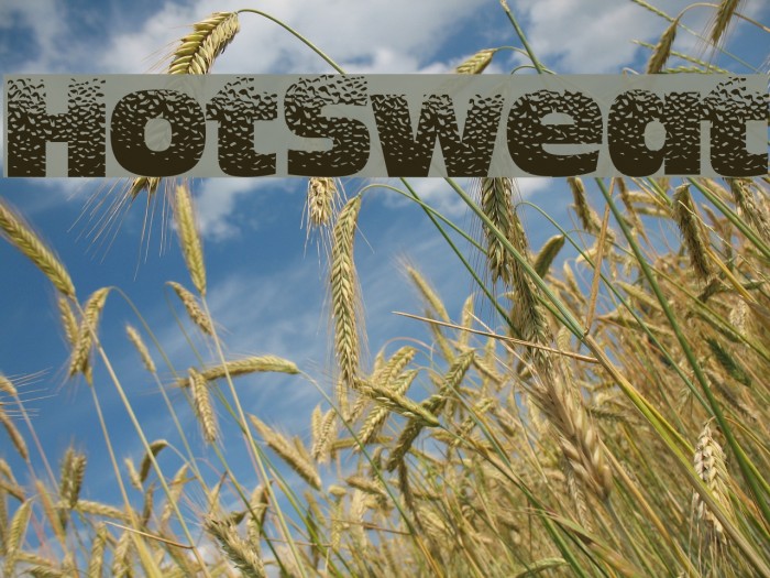 HotSweat Font - FFonts.net