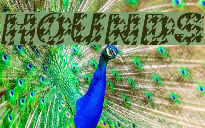 Hounds Font - FFonts.net