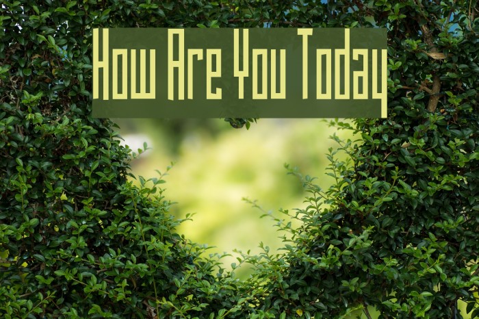 How Are You Today Font - FFonts.net