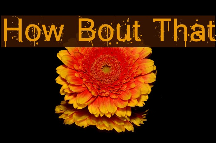 How Bout That Font - FFonts.net