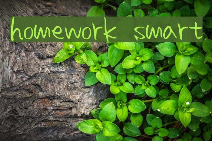 homework smart Font - FFonts.net