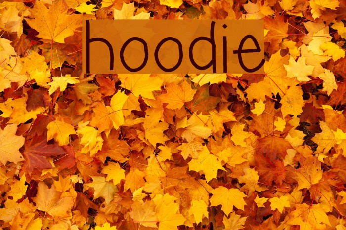 hoodie Font - FFonts.net