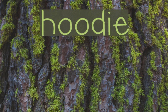 hoodie Font - FFonts.net