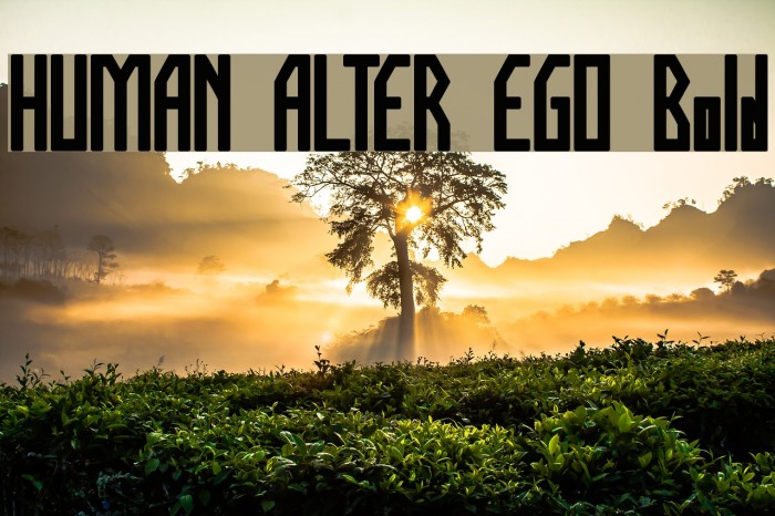 HUMAN ALTER EGO Bold Font - FFonts.net