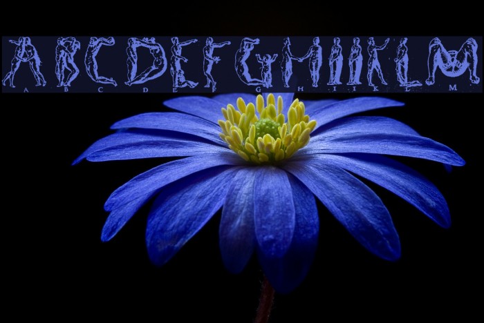 Human letters Font - FFonts.net