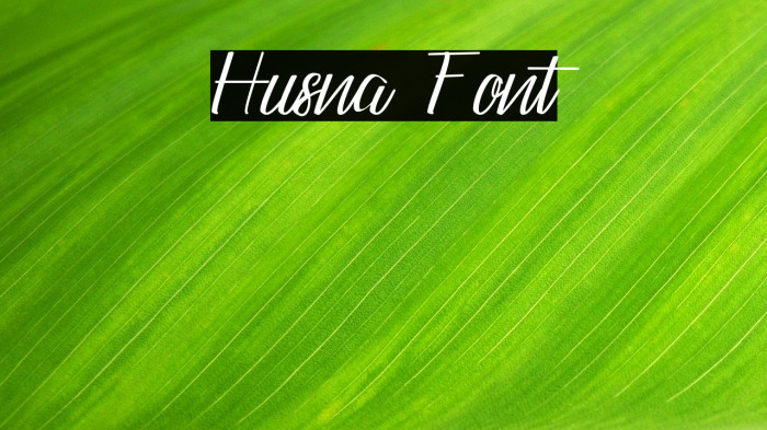 Husna Font - FFonts.net