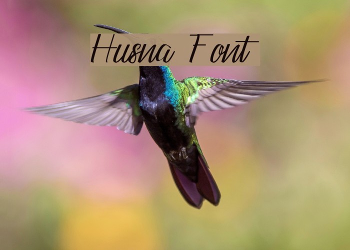 Husna Font - FFonts.net