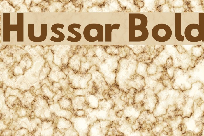 Hussar Bold Font - FFonts.net