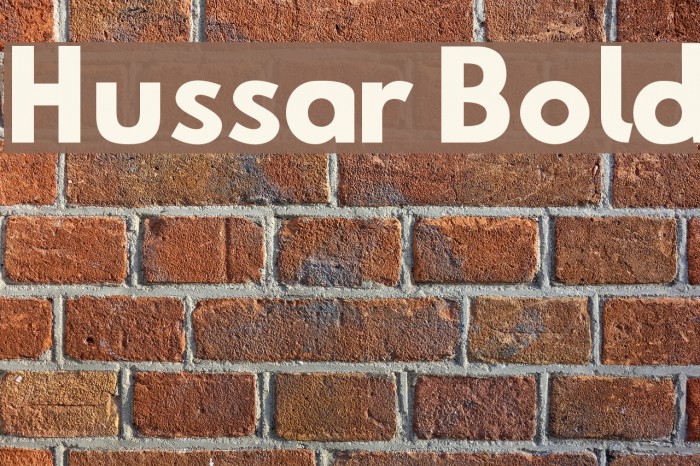 Hussar Bold Font - FFonts.net