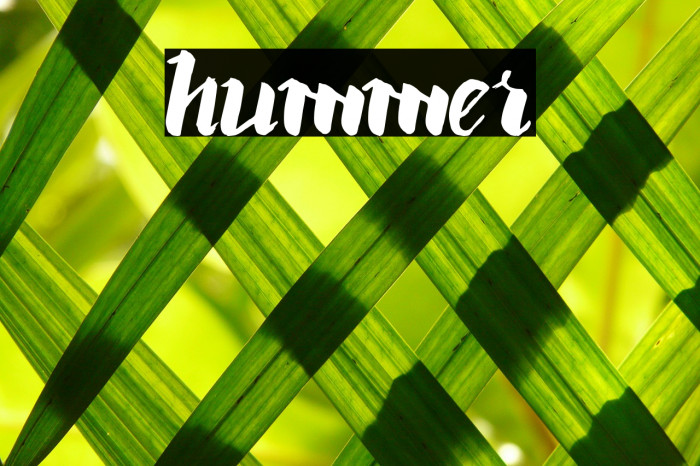 hummer Font - FFonts.net