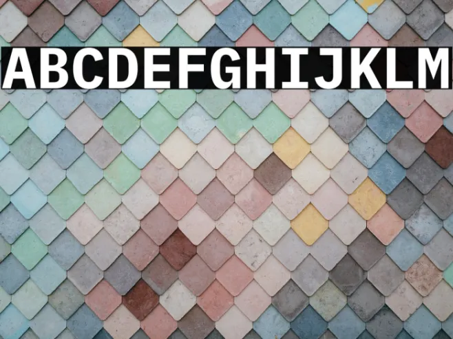 IBM Plex Mono Bold Font | Free Download (TTF/OTF) | FFonts.net