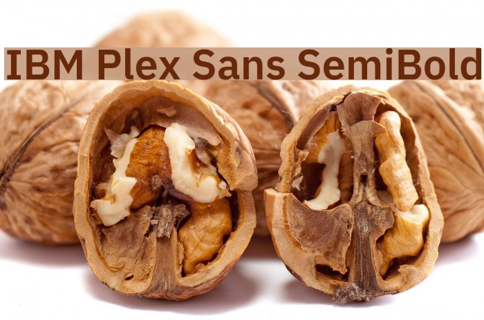 IBM Plex Sans SemiBold Font - FFonts.net IBM Plex Sans SemiBold Font - FFonts.net