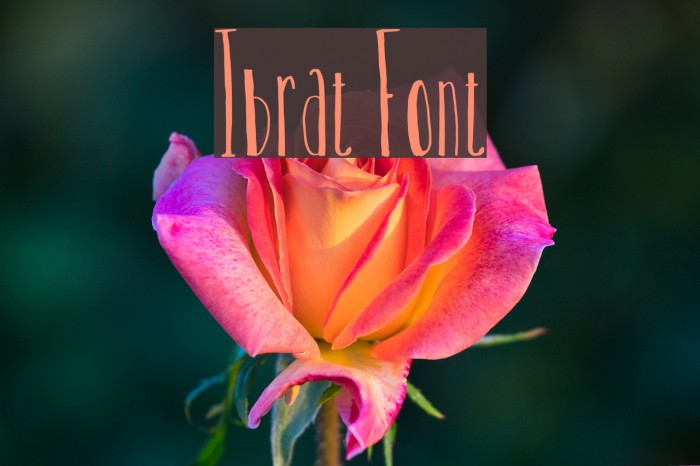 Ibrat Font - FFonts.net