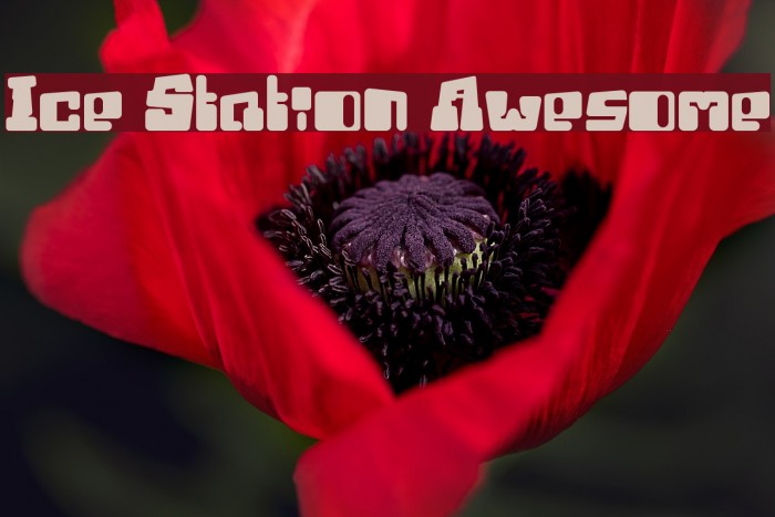 ice-station-awesome-font-ffonts