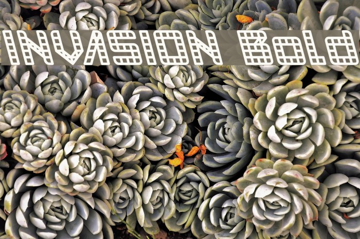 INVASION Bold Font - FFonts.net