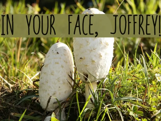 In your face, Joffrey! Font | Free Download (TTF/OTF) | FFon