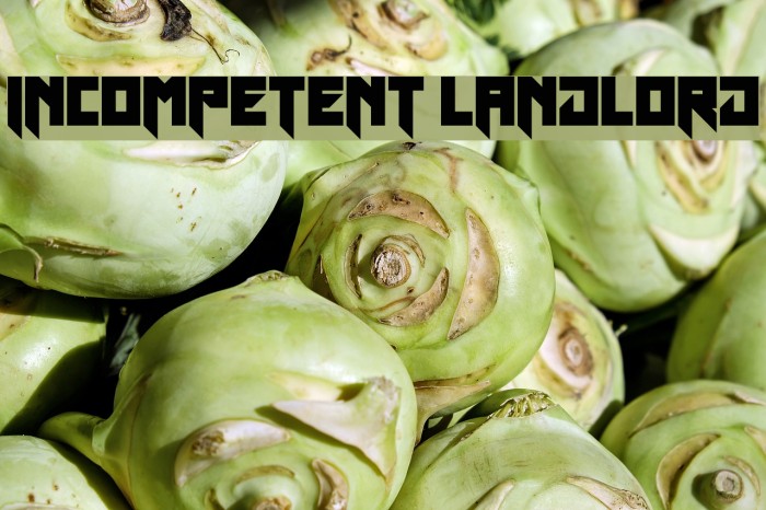 Incompetent Landlord Font - FFonts.net