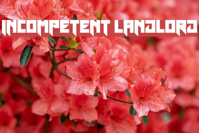 Incompetent Landlord Font - FFonts.net