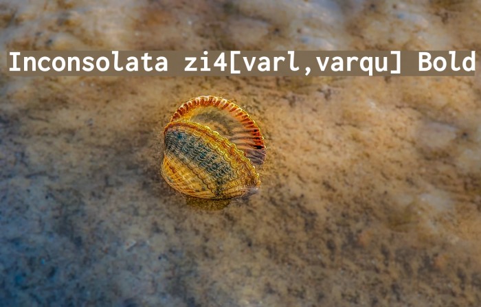 Inconsolata zi4[varl,varqu] Bold Font - FFonts.net