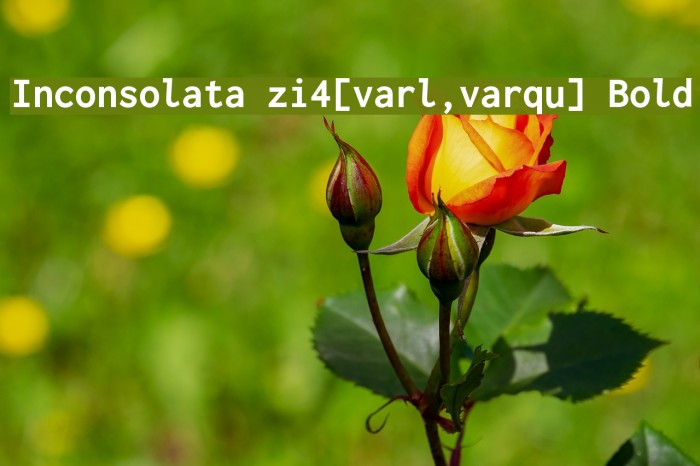 Inconsolata zi4[varl,varqu] Bold Font - FFonts.net
