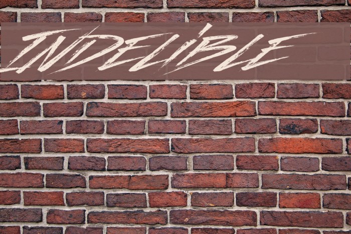 Indelible Font - FFonts.net