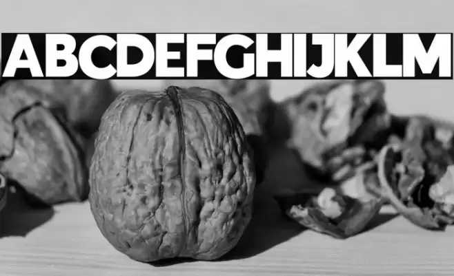 Indigo Regular Regular Font | Free Download (TTF/OTF) | FFon