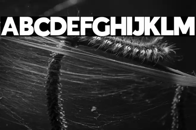 Indigo Regular Regular Font | Free Download (TTF/OTF) | FFon