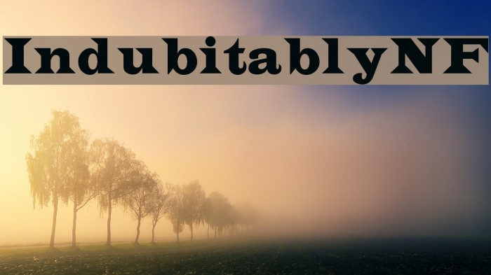 IndubitablyNF Font - FFonts.net