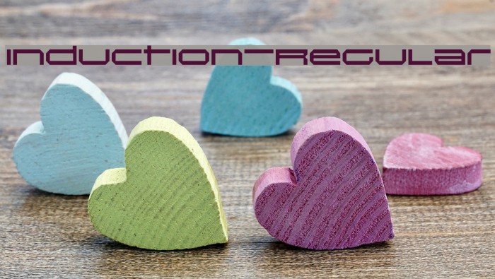 Induction-Regular Font - FFonts.net