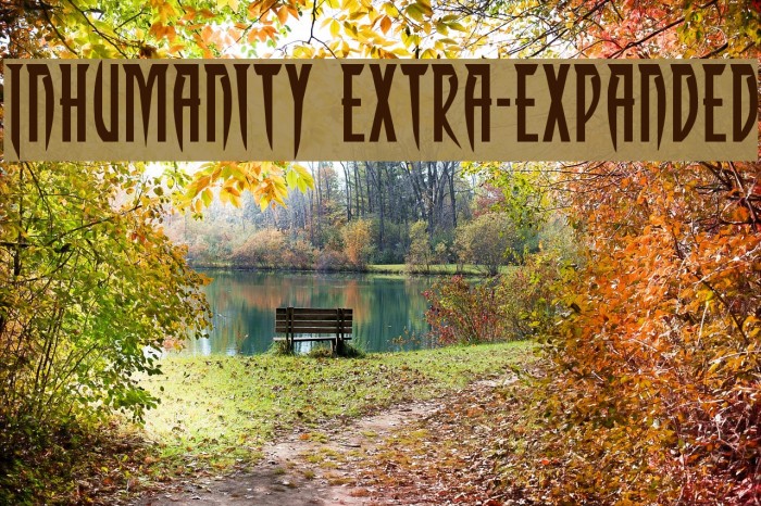 Inhumanity Extra-Expanded Font - FFonts.net