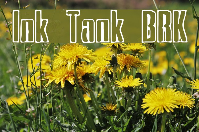 Ink Tank [BRK] Font - FFonts.net