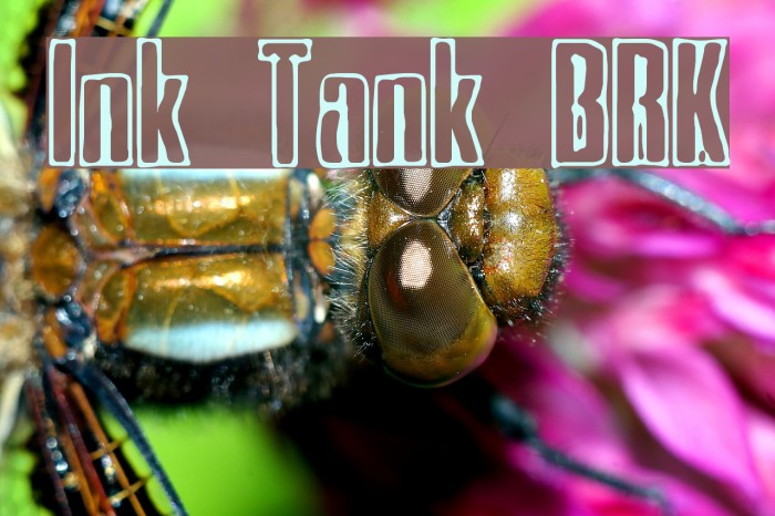 Ink Tank [BRK] Font - FFonts.net