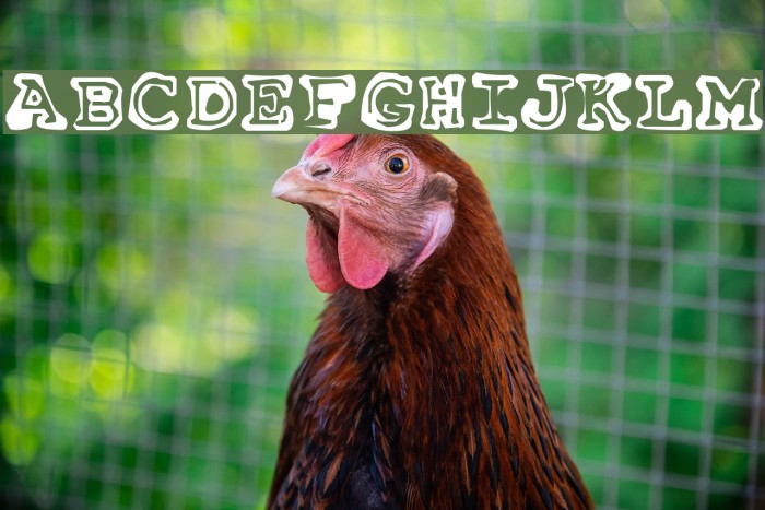 Insomnia [3am] Font - FFonts.net